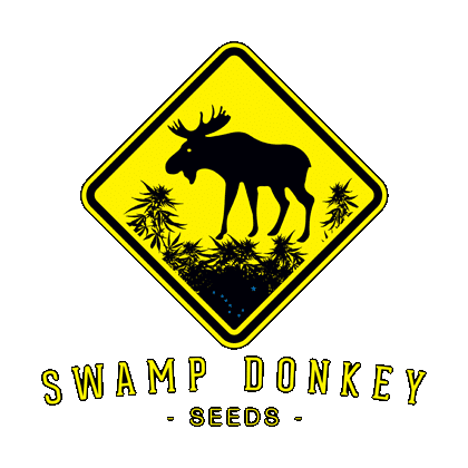 Swamp Donkey Seeds - nasiona marihuany i opinie o banku nasion | Hemplo.pl